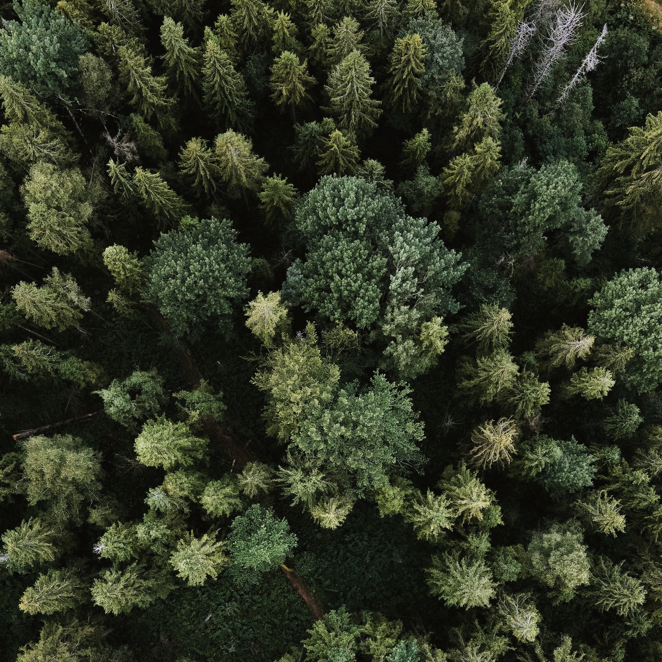 Data Structures and Algorithms